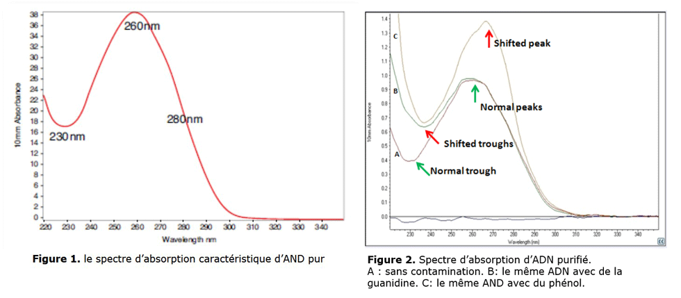 Techozyme Quantification & pureté des acides nucléiques.
